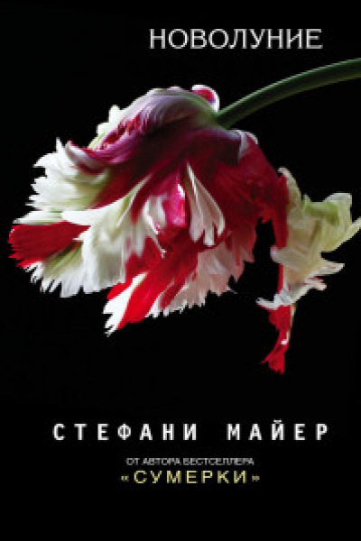 Новолуние | | книга
